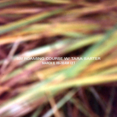 Stream Roaming Course Nr. 46 (24/03/08) w/ Tara Sarter by Squama Recordings | Listen online for ...