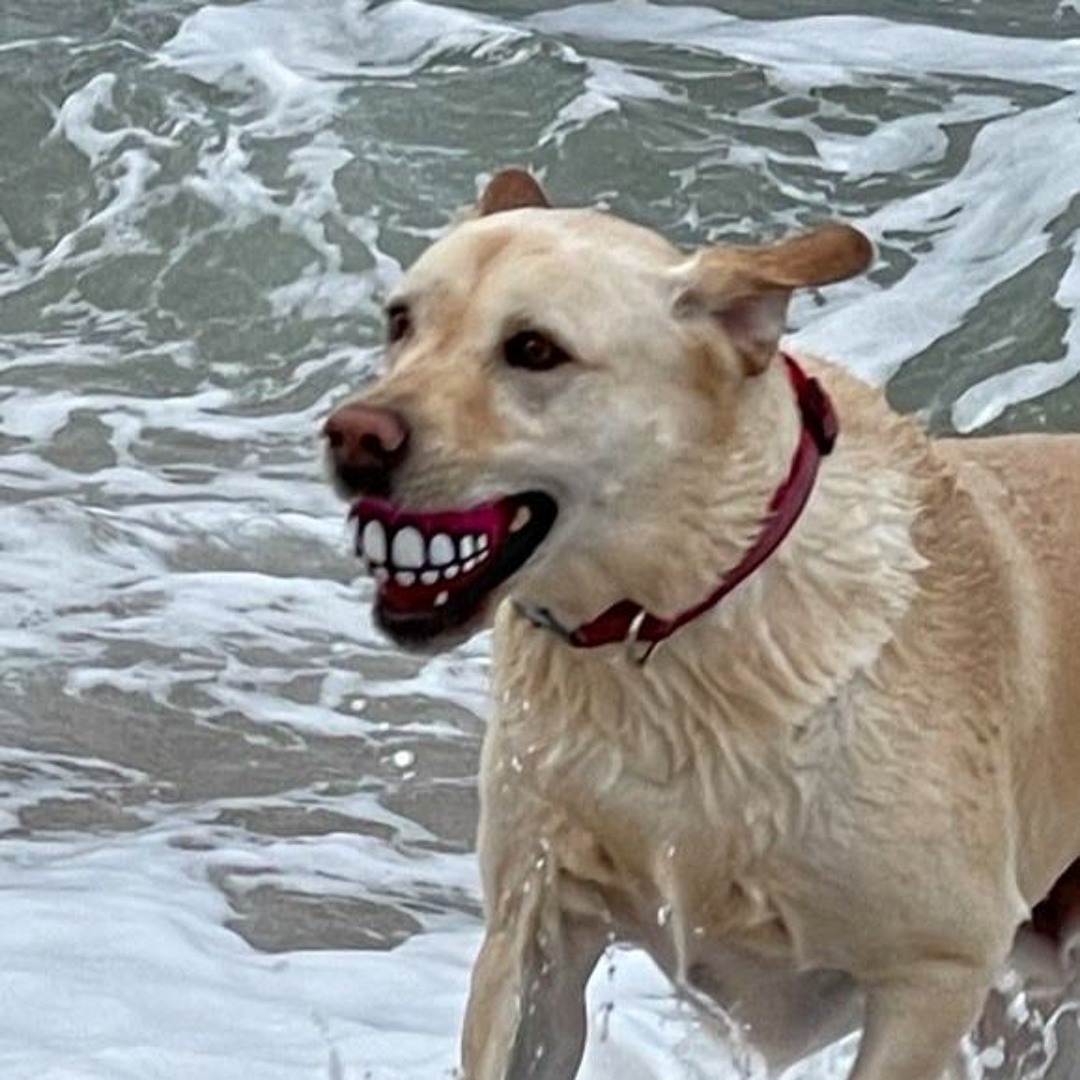 Stream mesmerized by xineohp | Listen online for free on SoundCloud