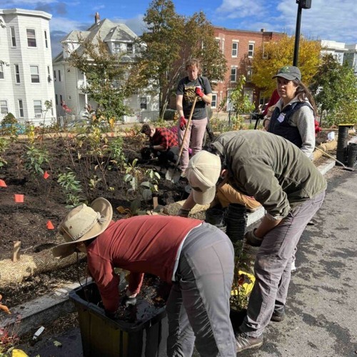 Stream episode Truth To Power | Beck Mordini | Biodiversity for a ...