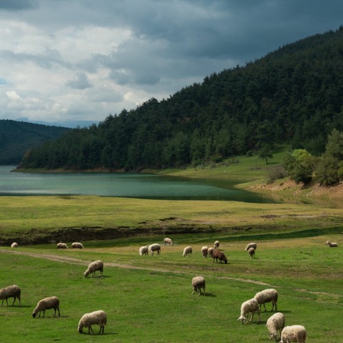 Stream Abundant life Angus Budge 6th March 2022 by Wendy Budge | Listen ...