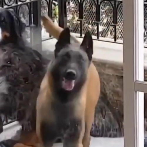 Stream ☆Tumpula☆ | Listen to Bludify playlist online for free on SoundCloud