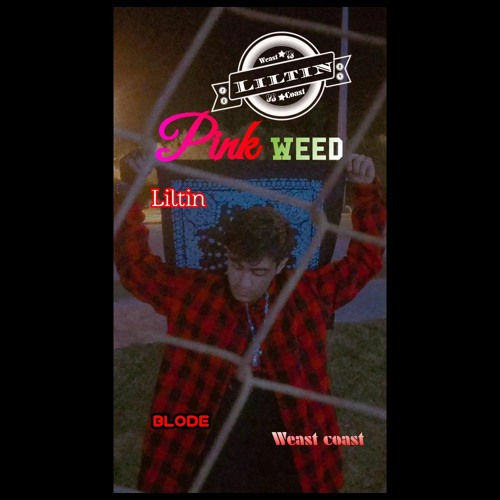 Stream pink weed by Liltin nitlil 6 | Listen online for free on SoundCloud
