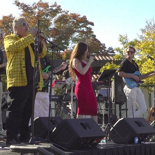 Stream Audio for Ruby Band 2024 Promotion Video by Ruby Band | Listen ...