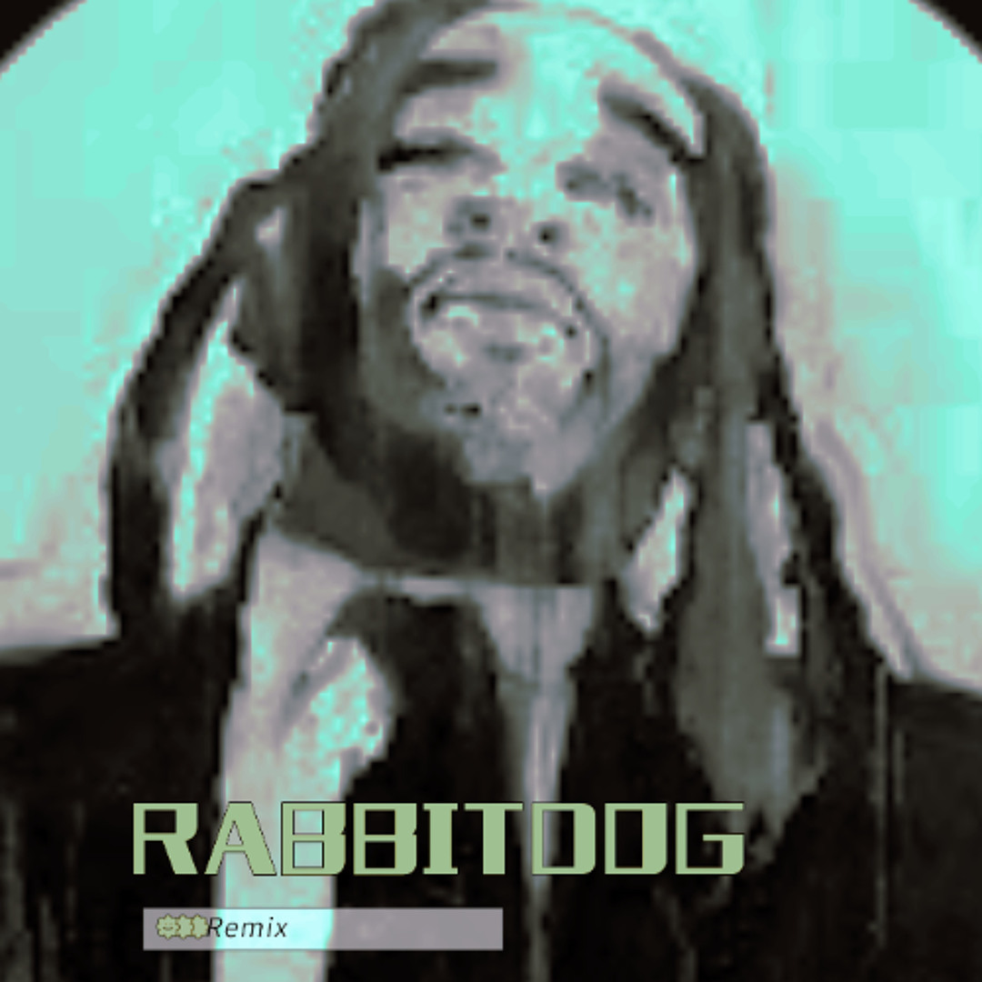Stream DON'T KILL THE PARTY（RABBITDOG REMIX） by RABBITDOG | Listen ...