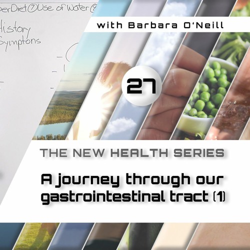 Stream 27. A Journey Through Our Gastrointestinal Tract [1], by Barbara ...