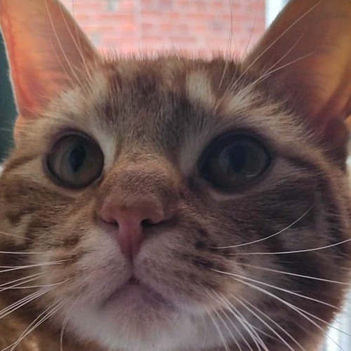 Stream Hotel Lobby by Timmit | Listen online for free on SoundCloud