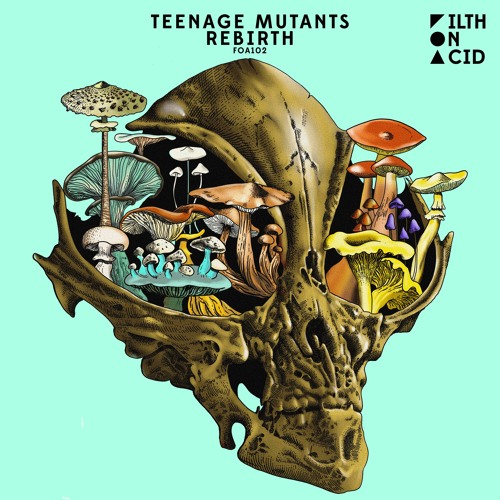 Stream Filth on Acid | Listen to Teenage Mutants - Rebirth playlist ...