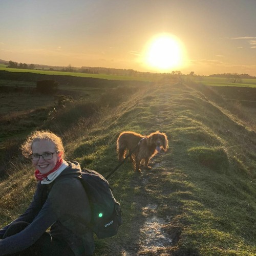 Stream random hobo | Listen to lets fall in love for the hell of it ...