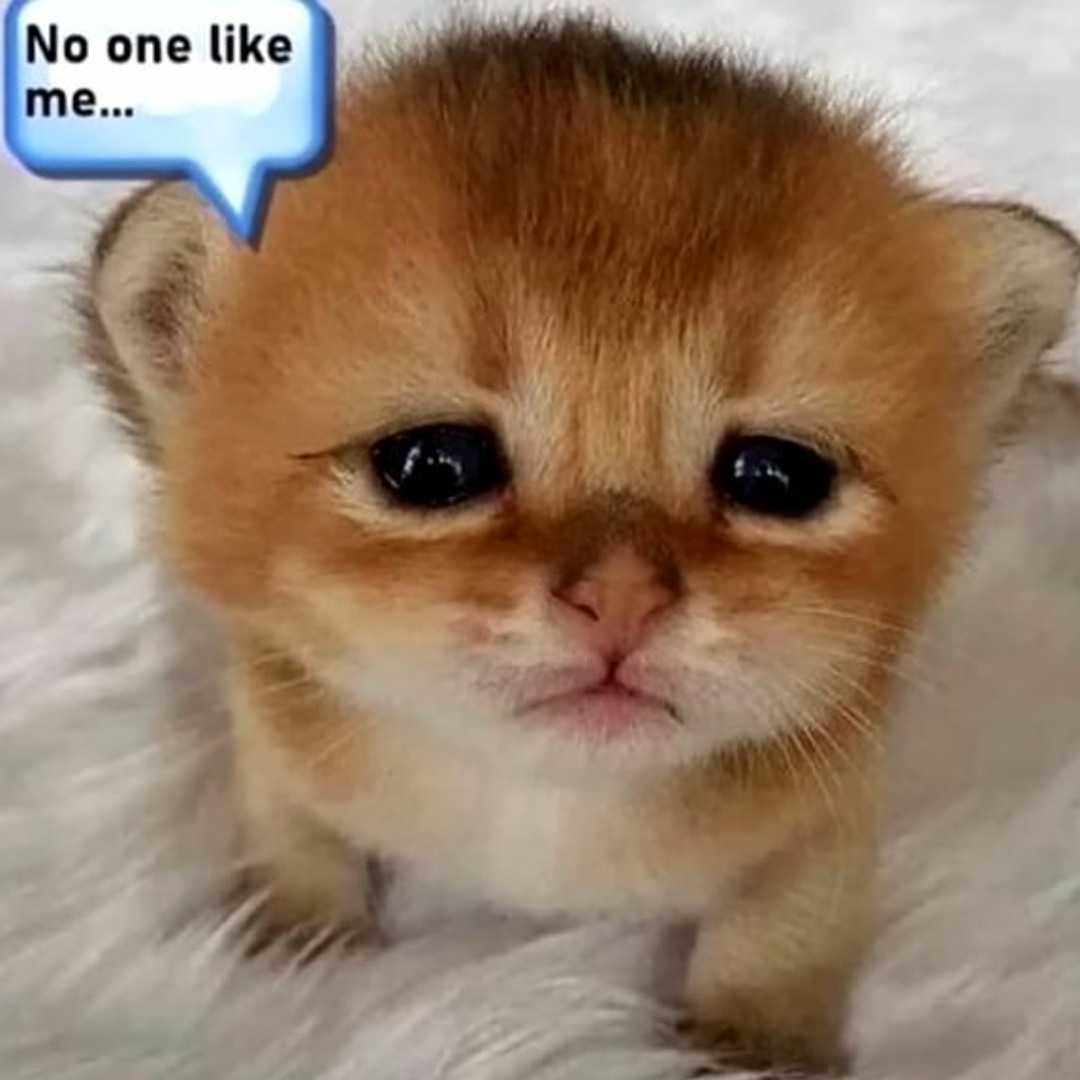 Stream [Dusttale Wawa Cat - Waterfall Encounter] - Misery Monster by ...