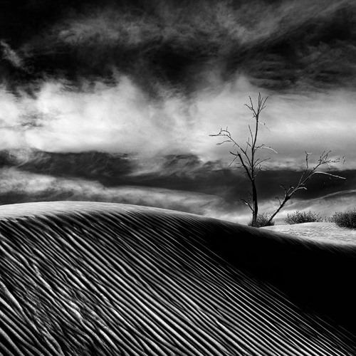 Stream Gypsy Rose by Doug Button | Listen online for free on SoundCloud