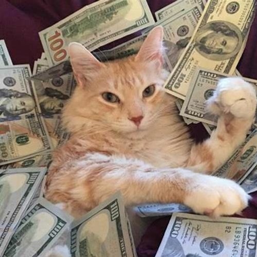 Stream ACID TEARZZZ (ROT5/SWAGMAN MIX) by souljuhhh (@zzzsoulja ...