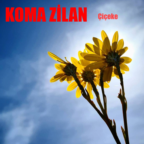 Stream çiçeke By Koma Zilan Listen Online For Free On Soundcloud