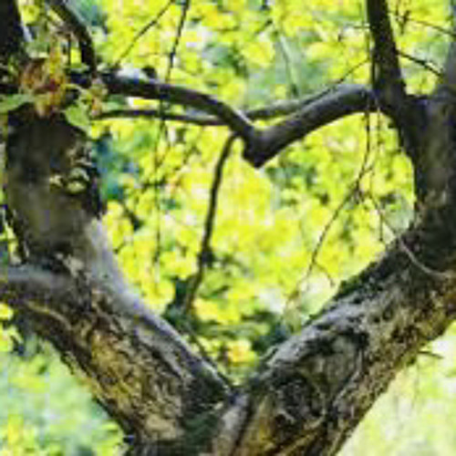 Stream Love is Here - Nick Prater by Sarah MacEwan - Singing Therapist ...