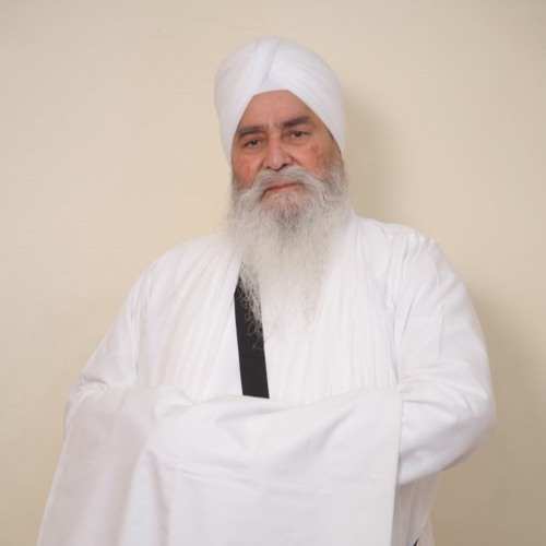 Listen to playlists featuring The Importance Of Amrit l Sant Baba ...