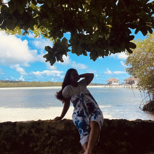 Stream Dj Mafi • Overload x Waigho x La Vie Dansante by 𝕿𝖞𝖗𝖔𝖓𝖊.𝖘 ♨️ ...