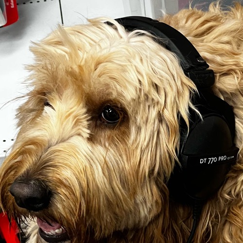 Stream I Gotta Find Peace Of Mind - Lauren Hill (CHoochy Remix) by ...