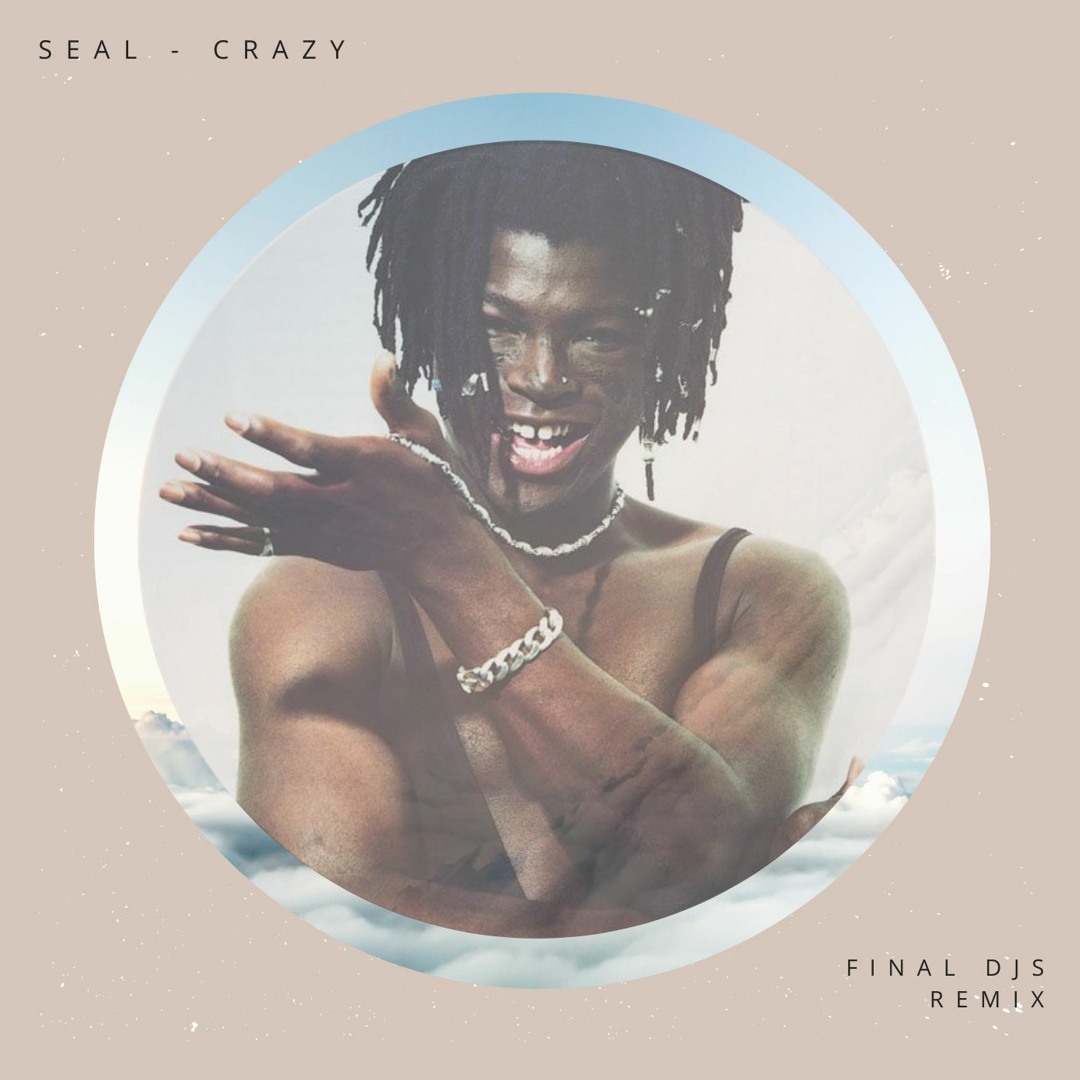 Stream SEAL - Crazy (FINAL DJS Remix) *Free Download* by FINAL DJS ...