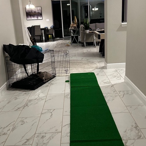 Stream I Tried by Mofeen | Listen online for free on SoundCloud