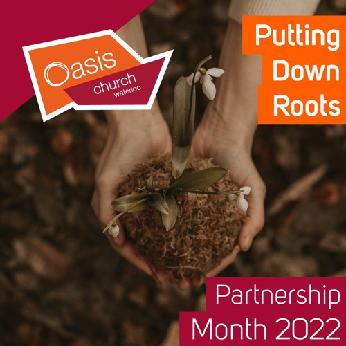 Stream oasiswaterloo | Listen to Putting Down Roots (Partnership Month ...