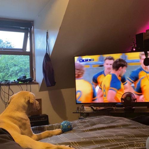 Stream Morgan ledger 🦌 | Listen to 🤕 playlist online for free on SoundCloud