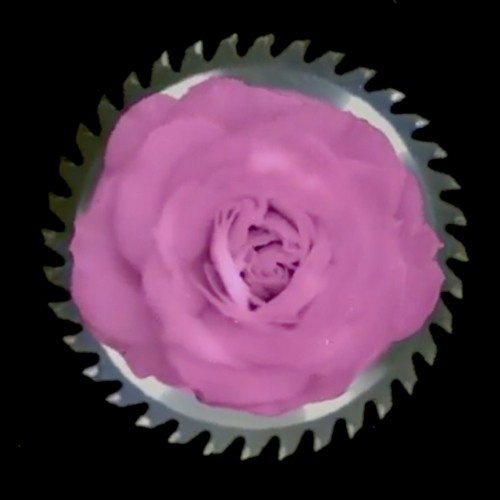 Stream ˜”*°•♡ᎶᎩᏗᏒᏬᏦᎧ♡•°*”˜ | Listen to 𝔗𝔯𝔞𝔲𝔪𝔞𝔱𝔦𝔠 𝔏𝔦𝔳𝔢𝔩𝔦𝔥𝔬𝔬𝔡 playlist ...