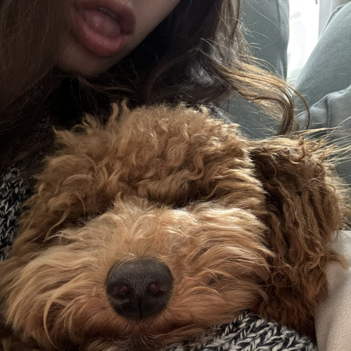 Stream Люди вокруг просто делают деньги - T Fest by Sasha Not Sasha ...