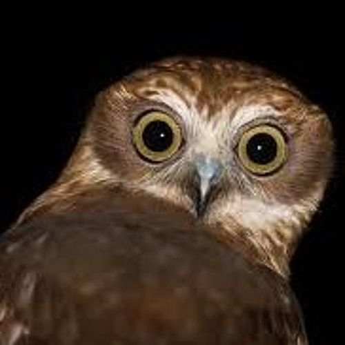 Stream Pertame Master-Apprentice Program | Listen to Yeya 8 ...