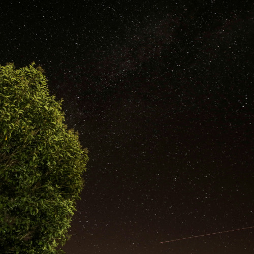 Stream Stoto - Ad Astra (Original Mix) by stoto | Listen online for ...