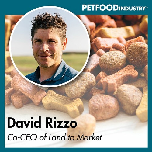 Stream episode Regenerative Agriculture with David Rizzo of Land to ...