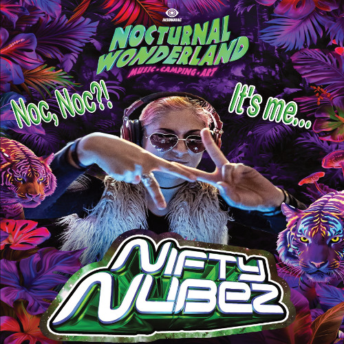 Stream NOC, NOC? IT'S ME NIFTY by Nifty Nubez | Listen online for free ...