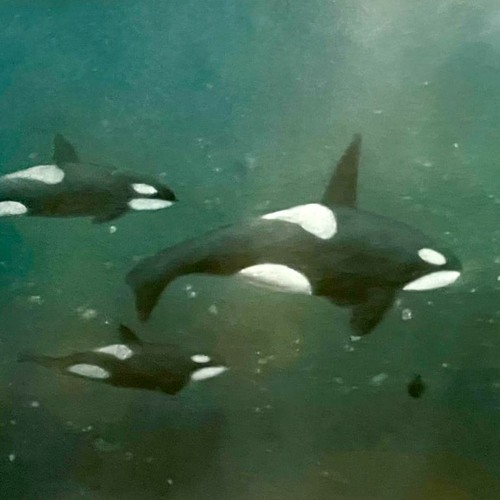 Stream Leviathan by Christopher Kinman | Listen online for free on ...