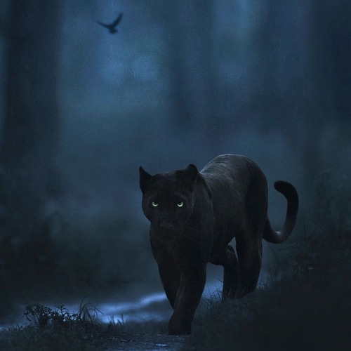 Stream HUNTRESS by MAJIK MIKE | Listen online for free on SoundCloud