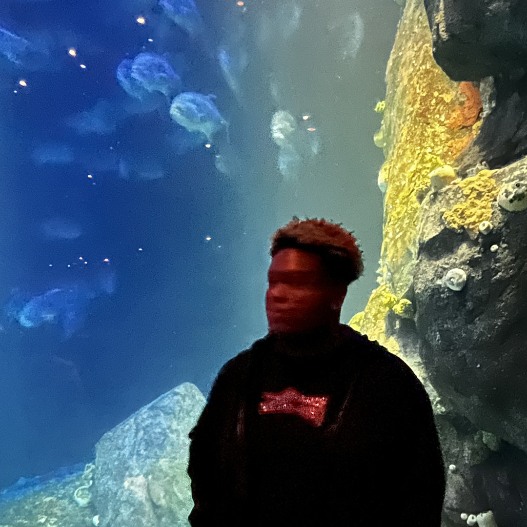 Stream OLYMPUS x1.wav by Cosmo's Demos | Listen online for free on ...