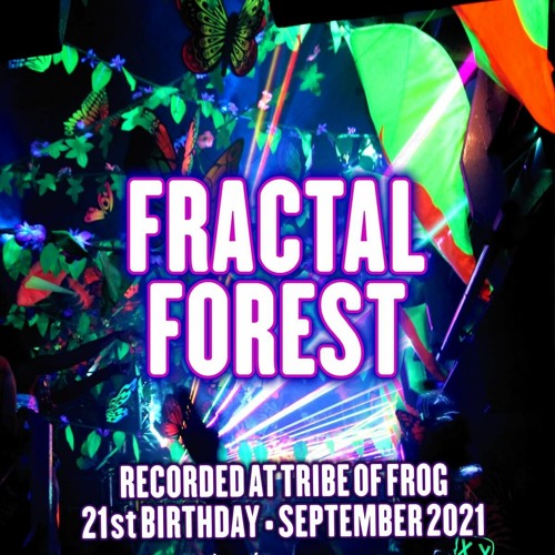 Stream Fractal Forest - Recorded at TRiBE of FRoG 21st Birthday (Room 4 ...
