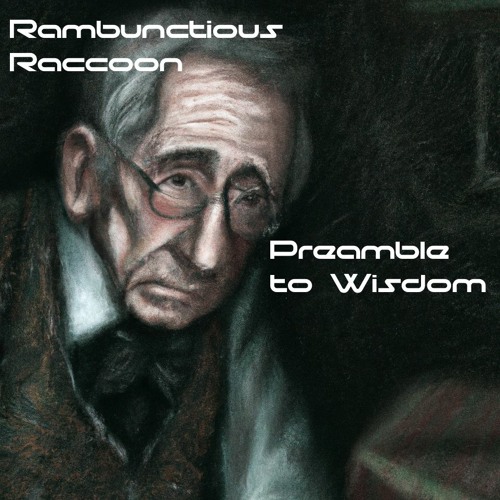 Stream Rambunctious Raccoon - Preamble To Wisdom by Theo Bombas ...