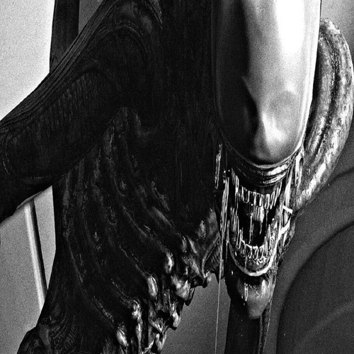 Stream mosh アセンデッドマスター by 7Ø7 ☥™ | Listen online for free on SoundCloud