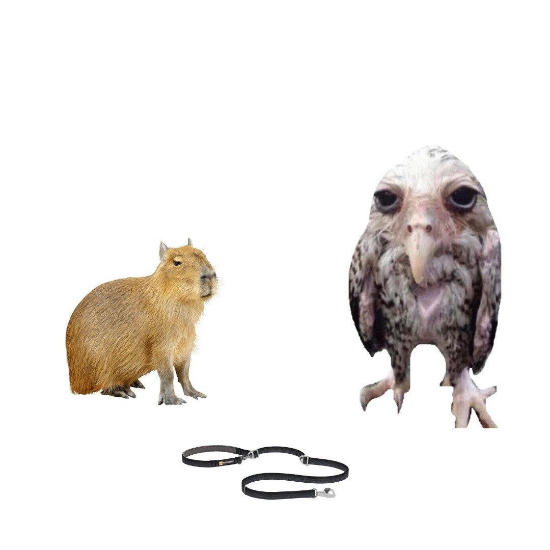 Stream Gort The Capybara by GOOFY HEADBANGERS | Listen online for free ...