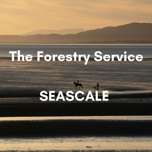 Stream Seascale by The Foresty Service | Listen online for free on ...
