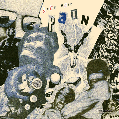 Stream Pain by sect unit | Listen online for free on SoundCloud