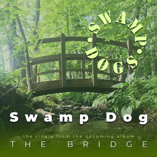 Stream Swamp Dog by The Swamp Dogs | Listen online for free on SoundCloud