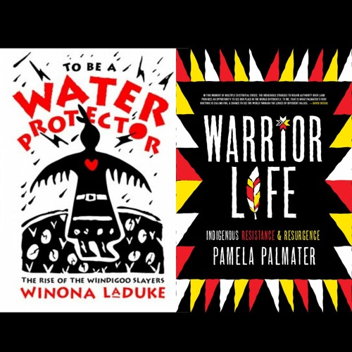 Stream Warrior Life & Water Protectors by Warrior Life | Listen online ...