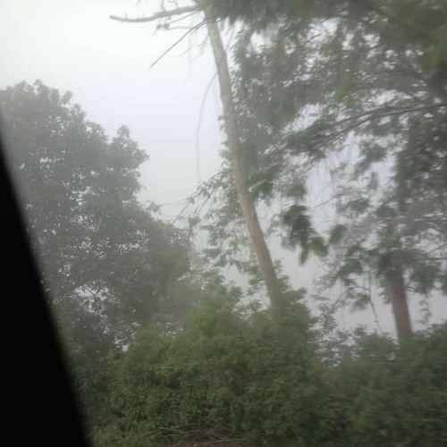 Stream osquinn gives gabby a bad idea by nociel | Listen online for ...
