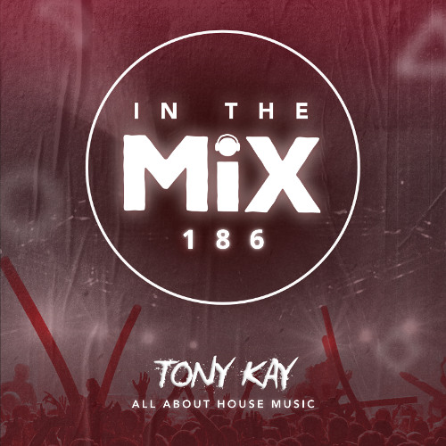Sal Houdini - I Keep Falling (Tony Kay Remix)