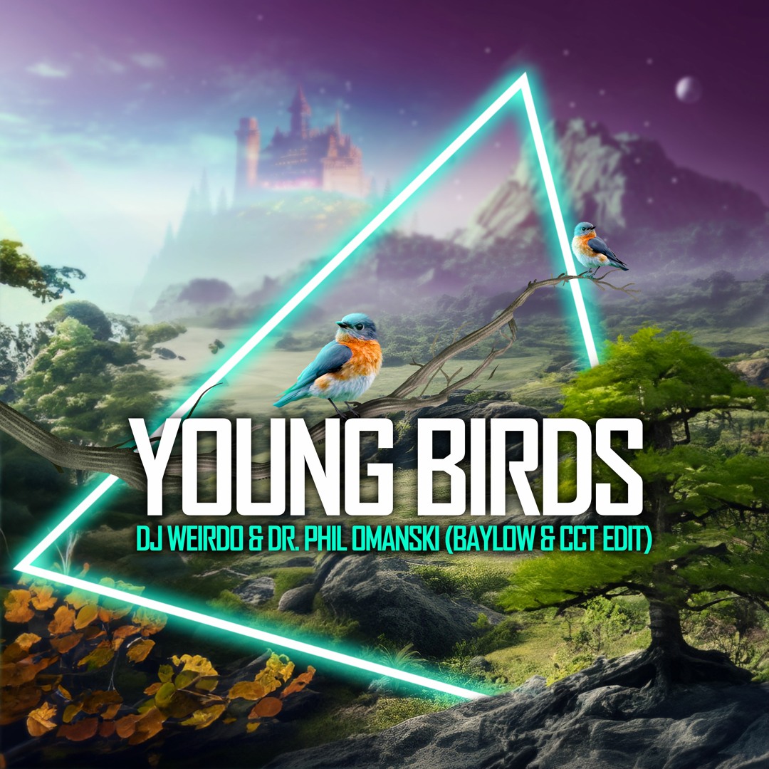 Stream DJ Weirdo & Dr. Phil Omanski - Young Birds (BAYLOW & CCT EDIT ...