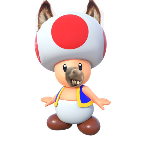 Stream TOAD Dominic the donkey by Official Toad | Listen online for ...