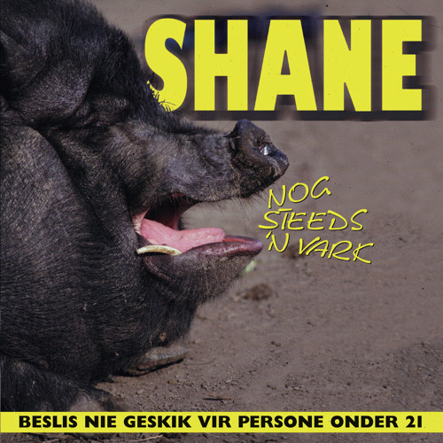 Stream Land Is In Sy Moer Die by Shane | Listen online for free on ...
