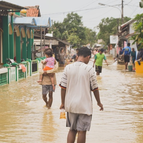 Stream India under the deluge: Bindu Gopal Rao by FairPlanet | Listen ...