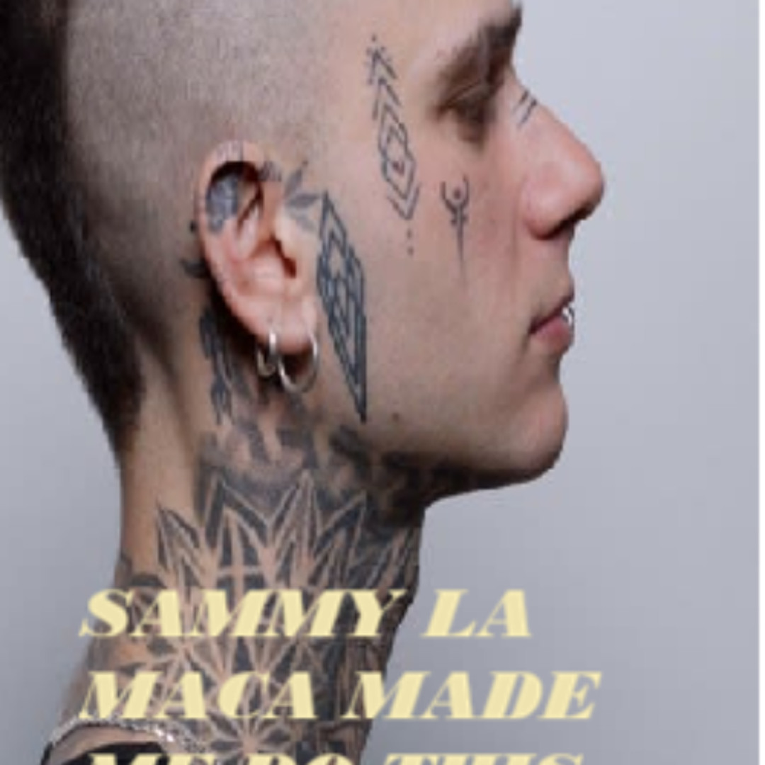 Stream sammy made me do this by Djbass Frankston92 | Listen online for ...