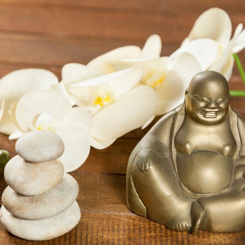 Stream Vibrations for Mind-Body Healing by Zone Meditation Music ...