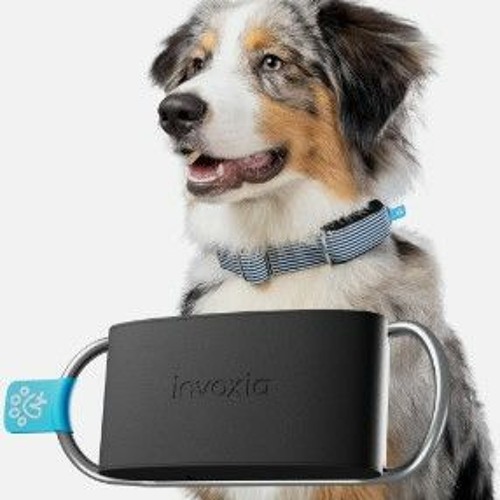 Stream episode Invoxia Minitailz pet health and location tracker by ...